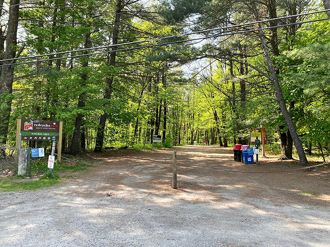 The park entrance beckons visitors into a world where cell service fades and nature's soundtrack takes over.