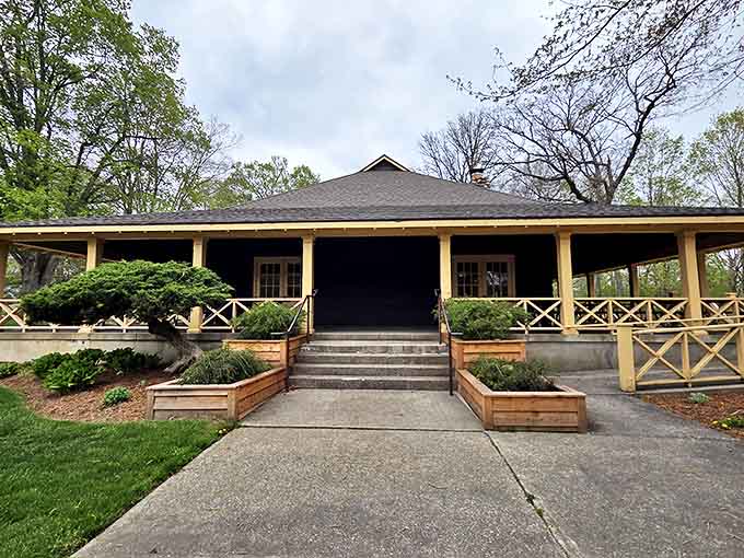 Morning light bathes the lodge's patio in golden warmth, creating the perfect spot for coffee and contemplation.
