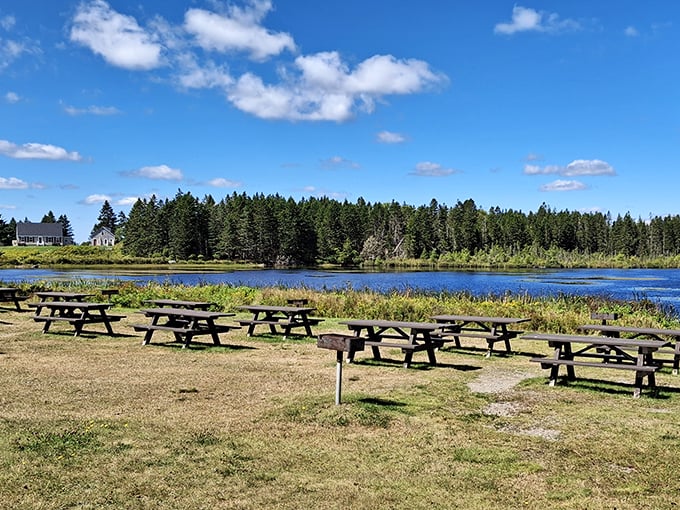 Picnic paradise awaits beside glassy waters, where these empty tables promise peaceful meals with unbeatable waterfront views.