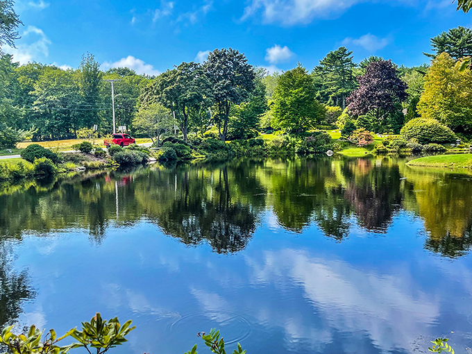 Reflections so perfect you'll question which way is up. Asticou's ponds mirror the surrounding beauty with glass-like precision.