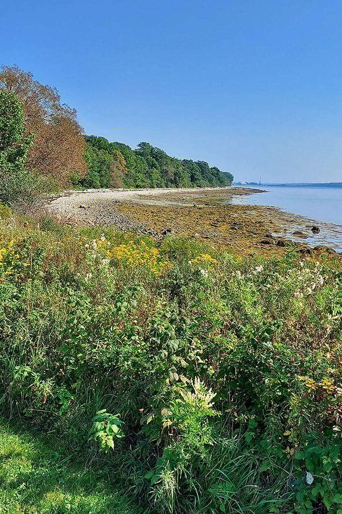 Wildflowers dance along the shoreline in summer, adding splashes of color to the rocky beach and creating perfect foreground for bay views.