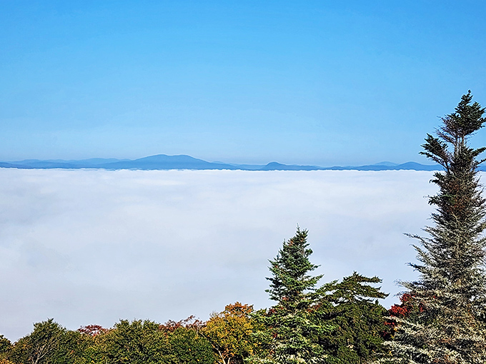 Morning magic unfolds as clouds blanket the valleys below, turning mountain peaks into islands in a cotton candy sea.