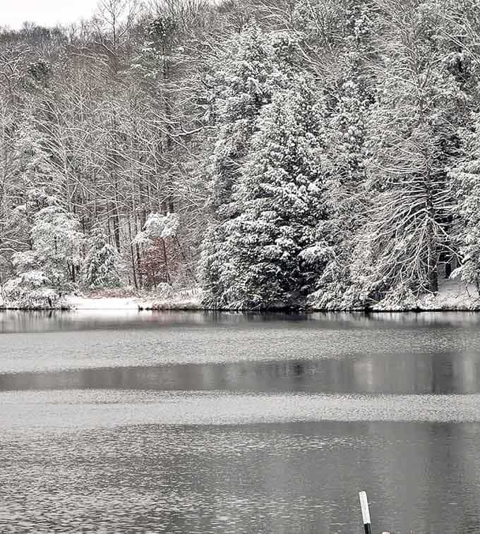 Winter's silent brush paints Hocking Hills in pristine white, creating a snow globe scene straight from a holiday card.
