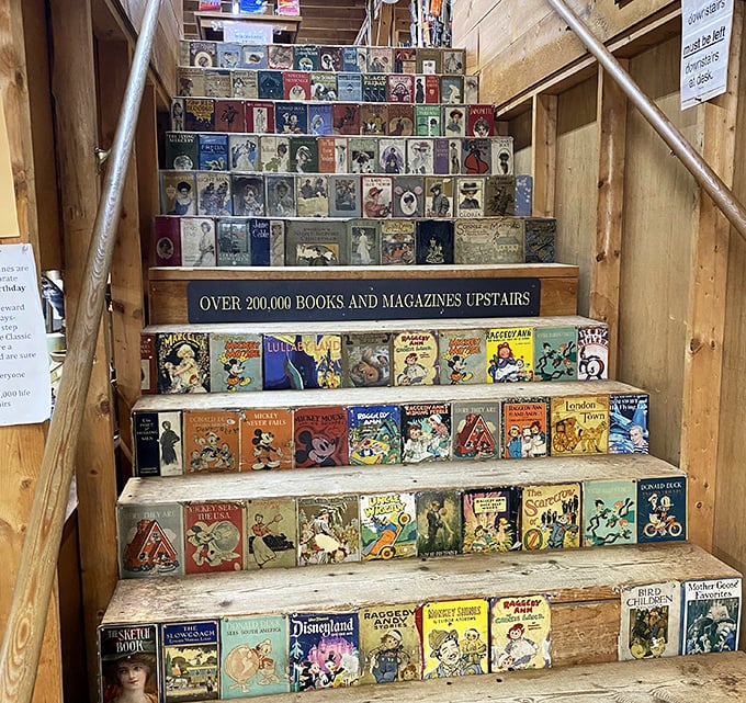 The staircase itself tells a story, with vintage children's books creating a colorful literary path to the second floor's 200,000+ volumes.
