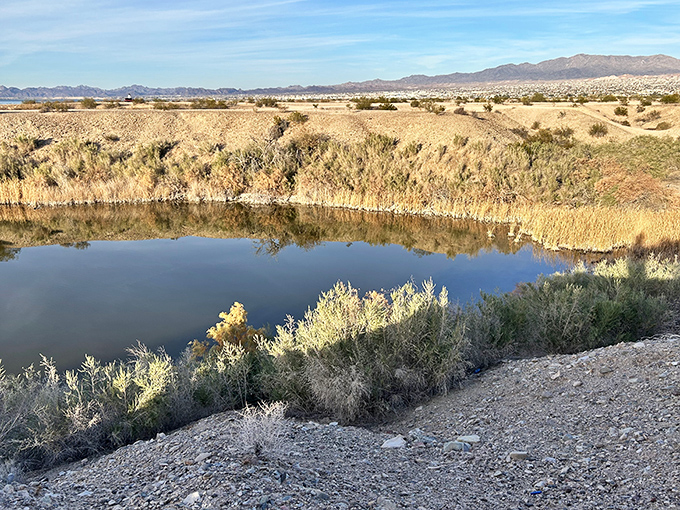 Nature's infinity pool, where desert meets water in a geological mashup that shouldn't work but somehow creates magic.