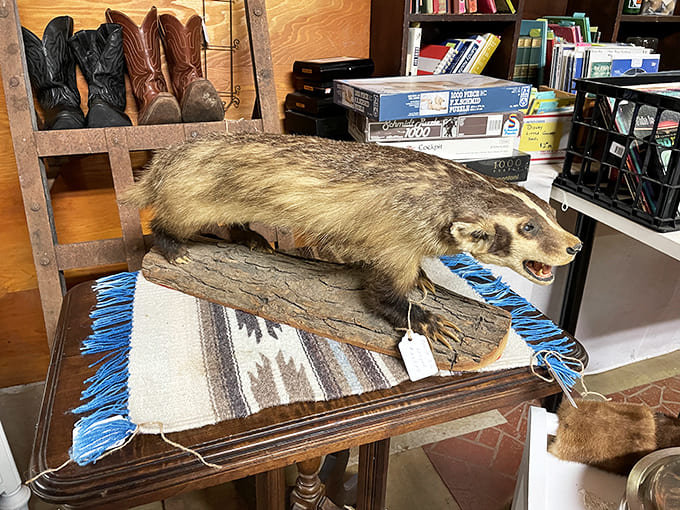 Not for the faint of heart! This taxidermied raccoon represents the market's more unusual offerings &ndash; conversation pieces that add character to adventurous homes.
