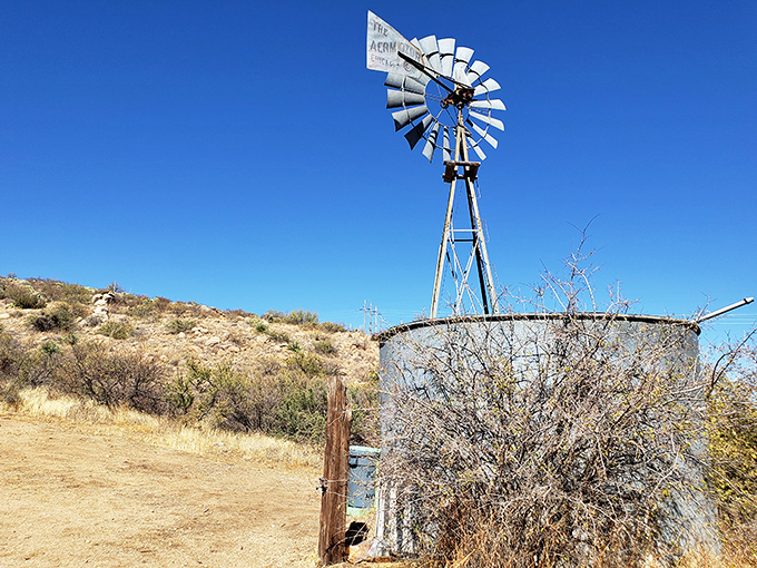 This vintage windmill stands as a charming sentinel of Oracle's ranching past, still catching Arizona breezes after all these years.
