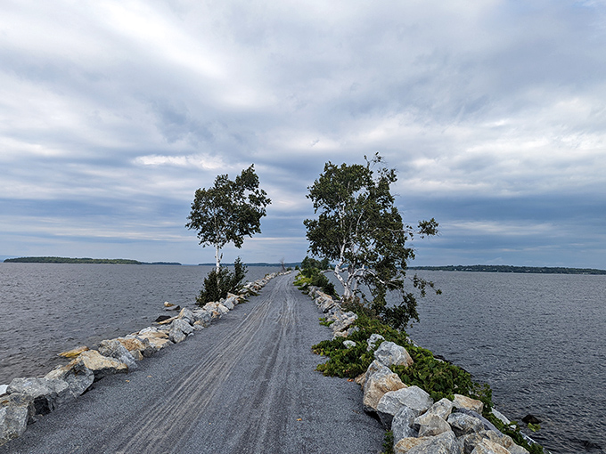 Natural stone barriers line sections of the trail, blending human engineering with Vermont's rugged landscape in perfect harmony.