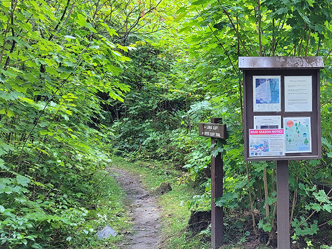 Forest trails beckon with adventure &ndash; follow the path less traveled into Branbury's woodland wonderland.