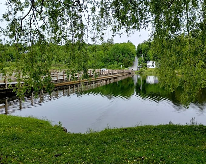 Weeping willows frame the Floating Bridge like natural curtains, their branches dancing just above the water's reflective surface.