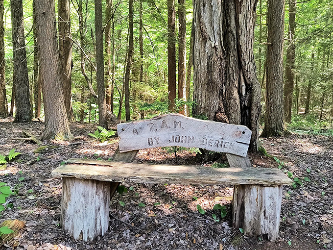 A rustic bench crafted by local artisan John Derich offers weary hikers a moment of contemplation among towering Vermont pines.