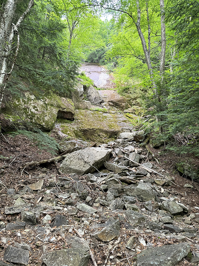Nature's stairmaster – a challenging rocky section that separates the casual strollers from the determined hikers.