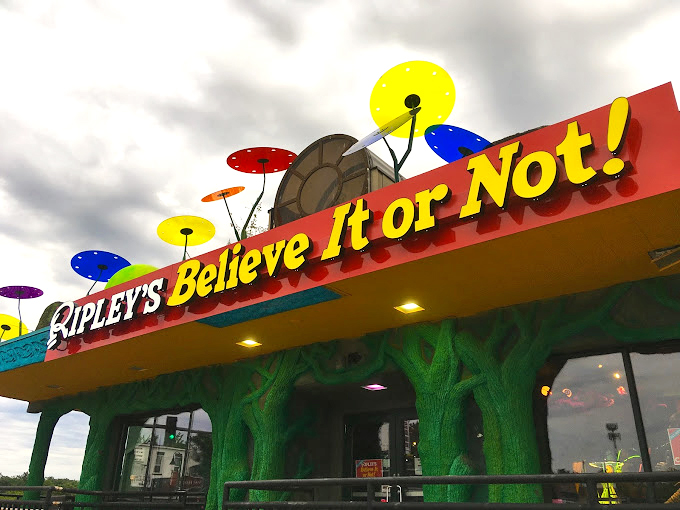 Welcome to the Island of Misfit Oddities! This psychedelic walkway leads to a world where the strange is normal and the normal is... well, boring.