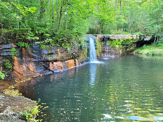 Hidden treasure alert! Wolf Creek Falls plays hard to get, but the reward is worth every step of the journey.
