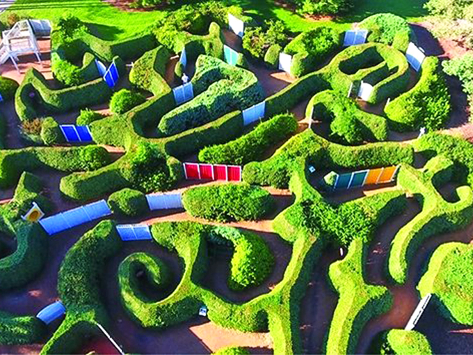 Tree heaven on earth! This leafy paradise is like a United Nations for plants, where every branch tells a story.