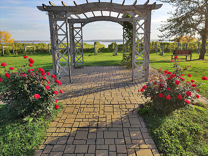 Where grapes and flowers mingle. It's like a cocktail party for plants!