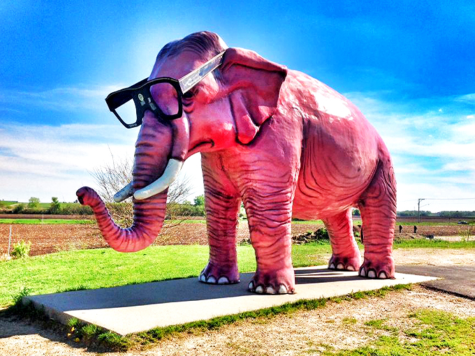 Dumbo's cooler cousin has arrived! This rosy pachyderm proves that sometimes, the best roadside attractions are the most absurd.