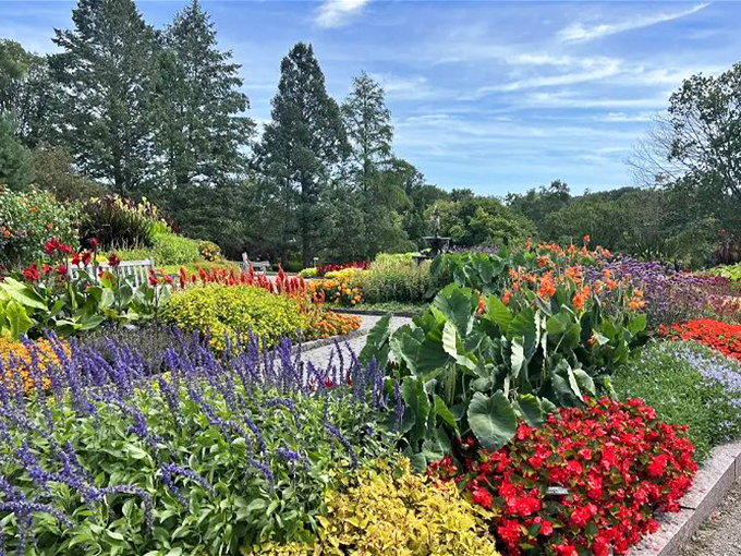 Nature's amusement park! From mazes to Japanese gardens, it's a botanical adventure that will leave you breathless. See what I did there?