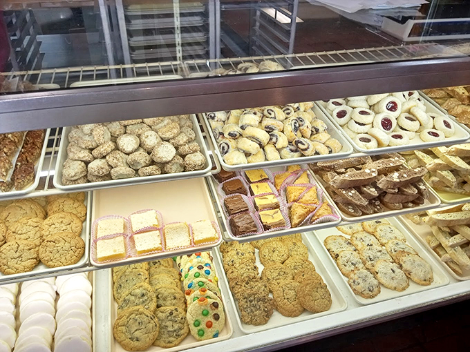 Donut nirvana achieved! These treats are so good, they might just solve world peace... one bite at a time.