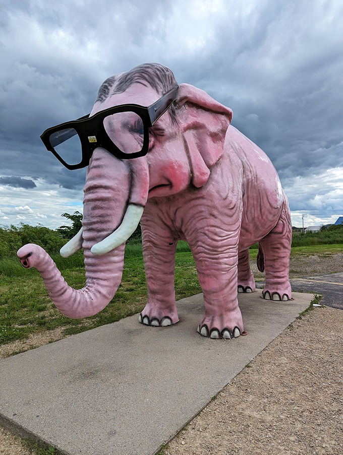 Who says elephants can't be fashionistas? This cool customer is serving looks and making Wisconsin just a little more fabulous.