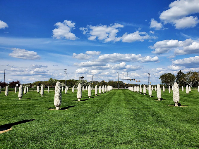 A-maize-ing absurdity! Dublin's concrete cornucopia is the result of someone taking "ear to the ground" way too literally. These towering tributes to Ohio's favorite crop look like they're waiting for a giant to come along with an equally giant pot of boiling water. It's farm-to-table gone hilariously awry!