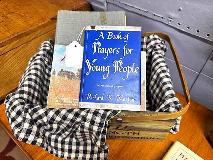 Books nestled in vintage crates tell stories beyond their pages – each worn cover and dog-eared page evidence of previous readers' journeys.