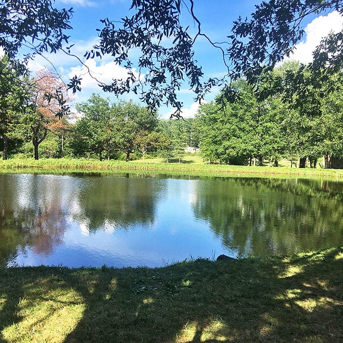 Tranquil waters mirror perfect skies at this serene Ashtabula County pond, where time seems to slow to the rhythm of rippling reflections.