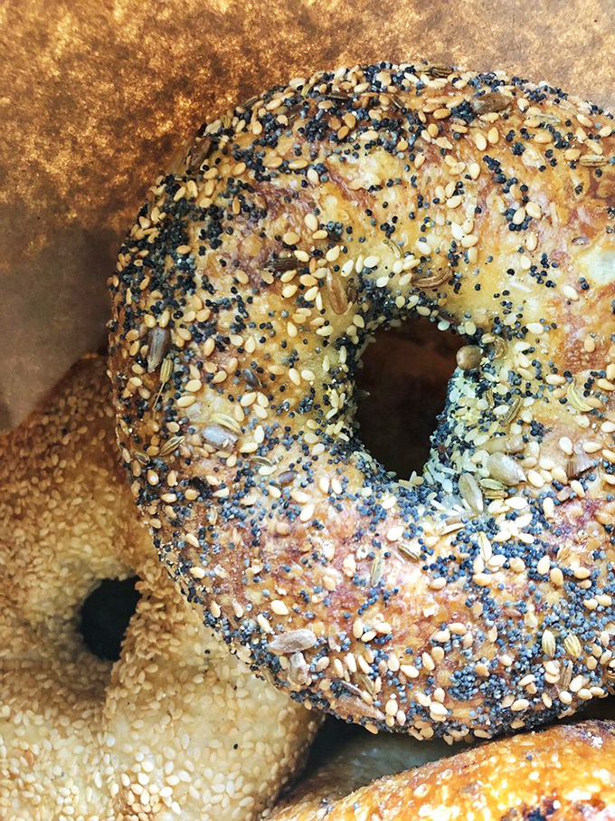 These aren't just bagels &ndash; they're hand-rolled works of art that have caused more than one New Yorker to question their loyalty.
