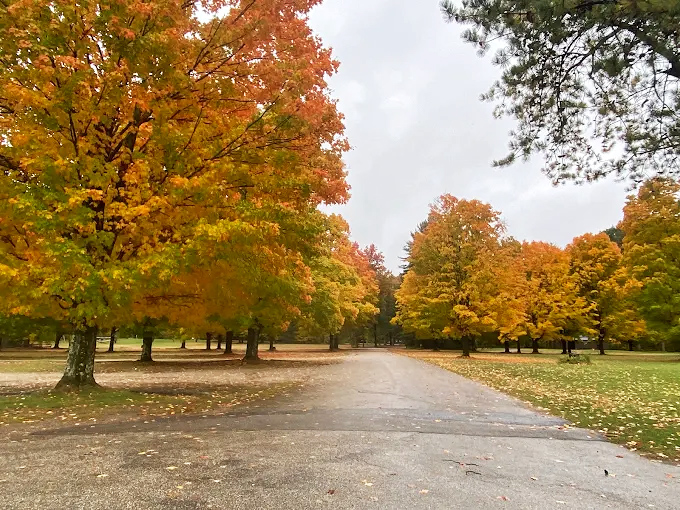 Fall foliage turns Branbury's paths into tunnels of gold and crimson, nature's most spectacular light show.