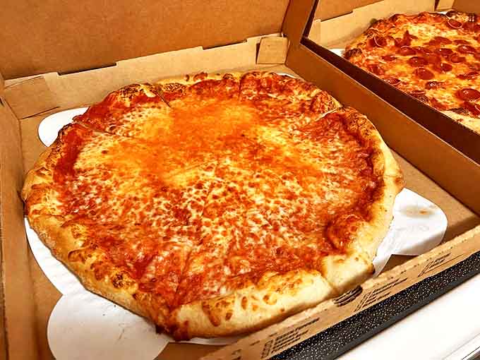 Sometimes simplicity speaks volumes. This cheese pizza showcases the fundamentals done right, from sauce to crust to perfectly melted cheese.