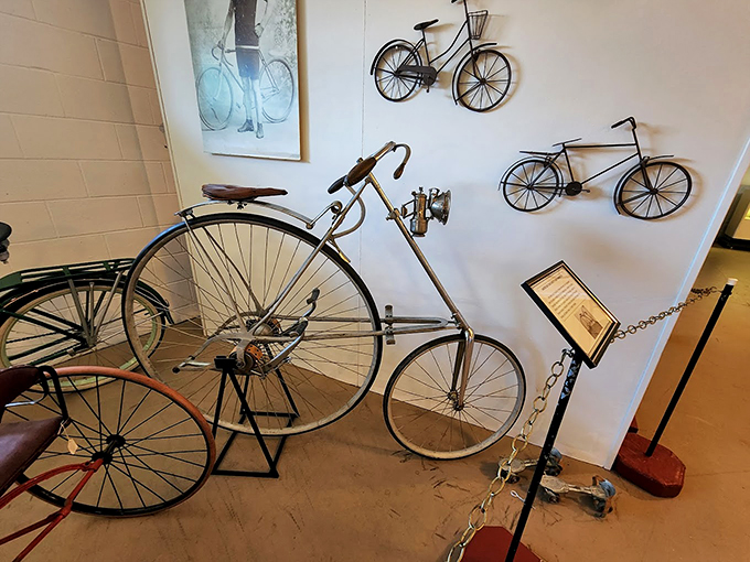 Two-wheeled time machines! From penny-farthings to racers, these bikes showcase the evolution of pedal-powered dreams. Ready for a spin?