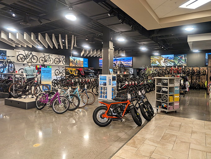 The bicycle department resembles a two-wheeled museum, with models ranging from first-timer friendly to "second mortgage required" professional racing machines.