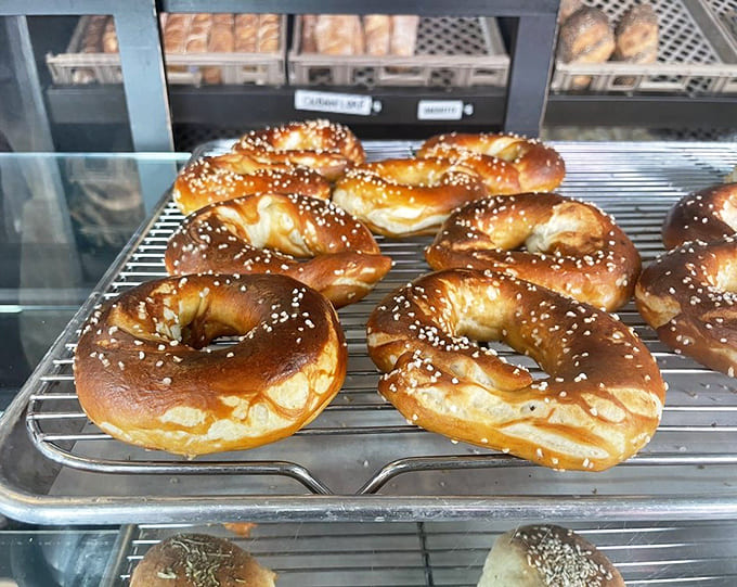 Soft pretzels with coarse salt crystals that deliver that perfect chewy-salty combination you didn't know you needed today.