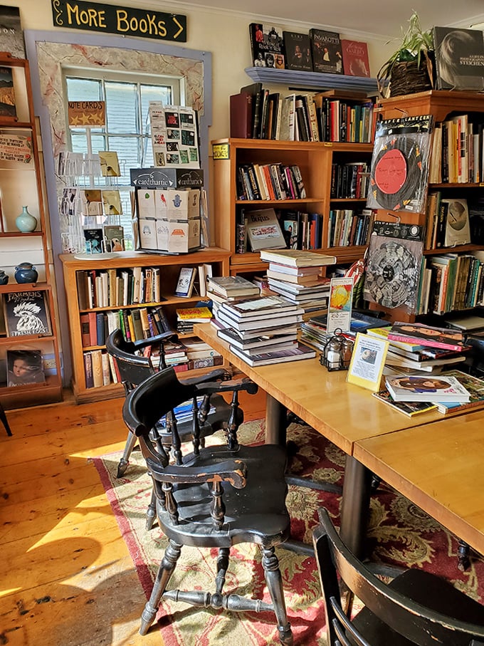 Sunlight streams through windows onto well-worn wooden floors, illuminating a reading space where books and conversations flow with equal ease.