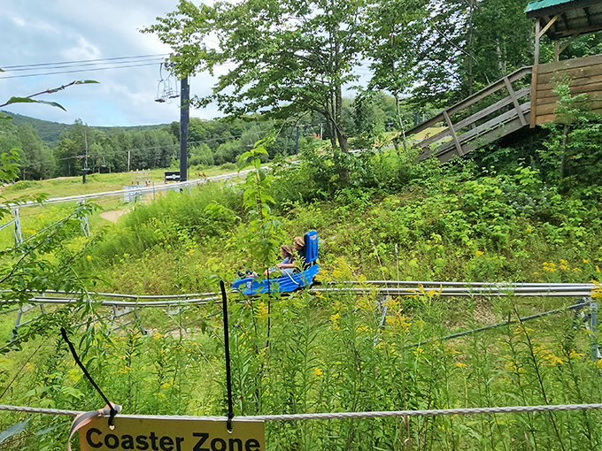 Blink and you'll miss it – riders zip through the Coaster Zone, their excited screams echoing through the mountain air.