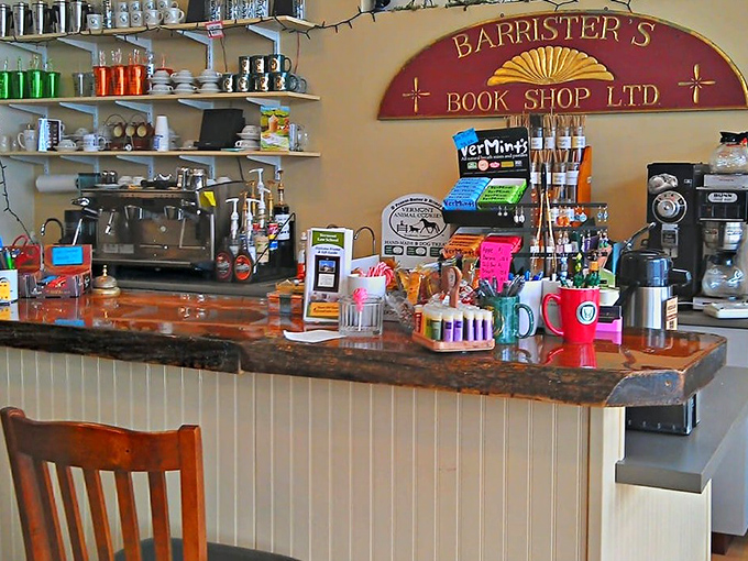 The espresso counter gleams with promise, where baristas transform simple beans into liquid gold that fuels both conversation and contemplation.