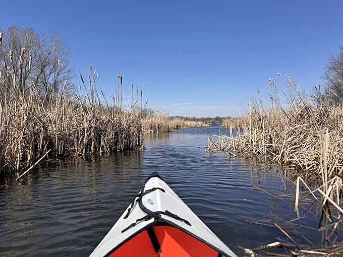 Cattails frame the waterway like nature's own curtains, opening onto a scene that belongs on a postcard you'd actually send.