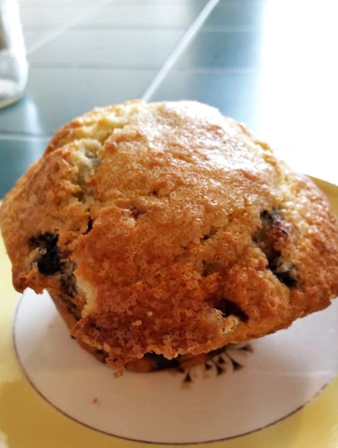 That blueberry muffin has the kind of golden-brown top that promises moist, flavorful perfection inside.