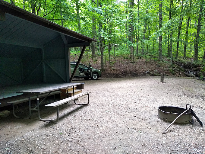 A secluded forest campsite offers primitive camping at its finest&mdash;just you, a tent, and the whispering pines overhead.
