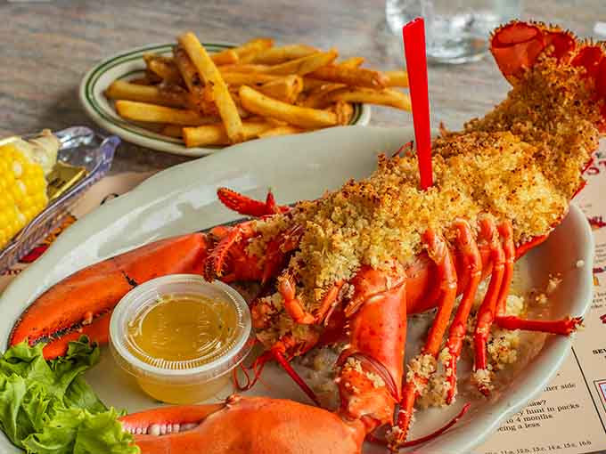 This lobster looks like it's ready for its close-up, breaded and fried to golden perfection with butter standing by.