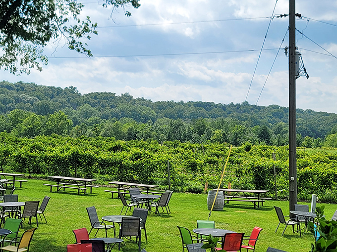 Galena Cellars Vineyard: proof that great wine doesn't require California's pretension or Napa's mortgage-sized price tags.