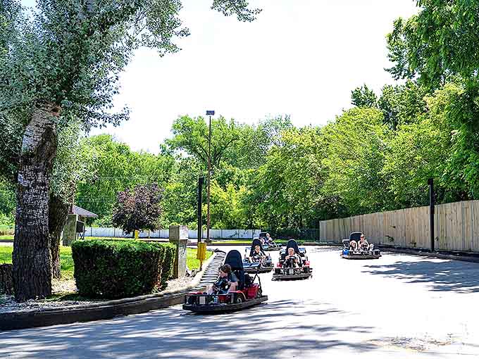 Go-karts glide through dappled sunlight, creating a moving postcard of summer memories being made in real-time.