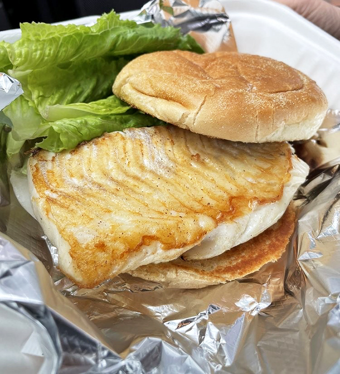 Fresh-caught haddock sandwich &ndash; flaky white fish on a simple bun, proving sometimes the ocean's bounty needs little embellishment.