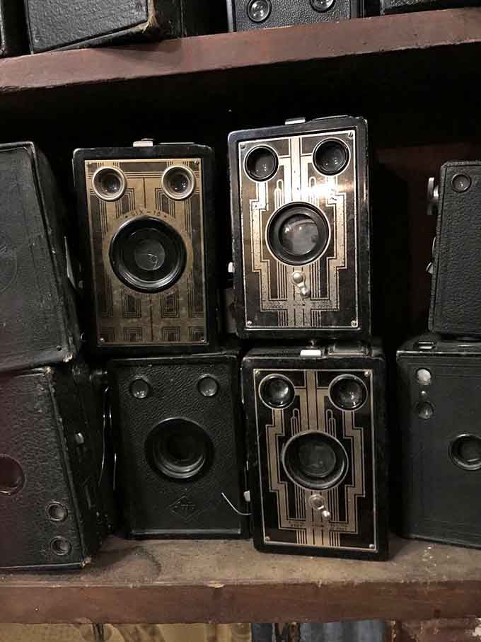 Vintage cameras line up like retired photographers, each one representing technological innovation and countless captured memories from decades past.