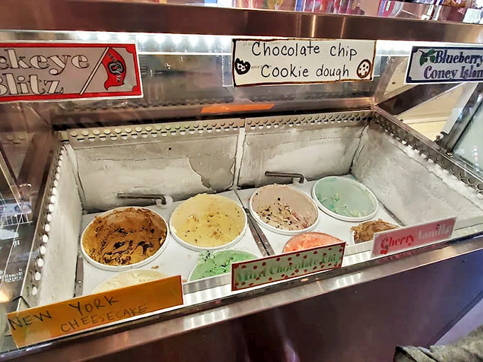 Creamy treasures await in these tubs, where flavors like Chocolate Chip Cookie Dough and Blueberry compete for attention.