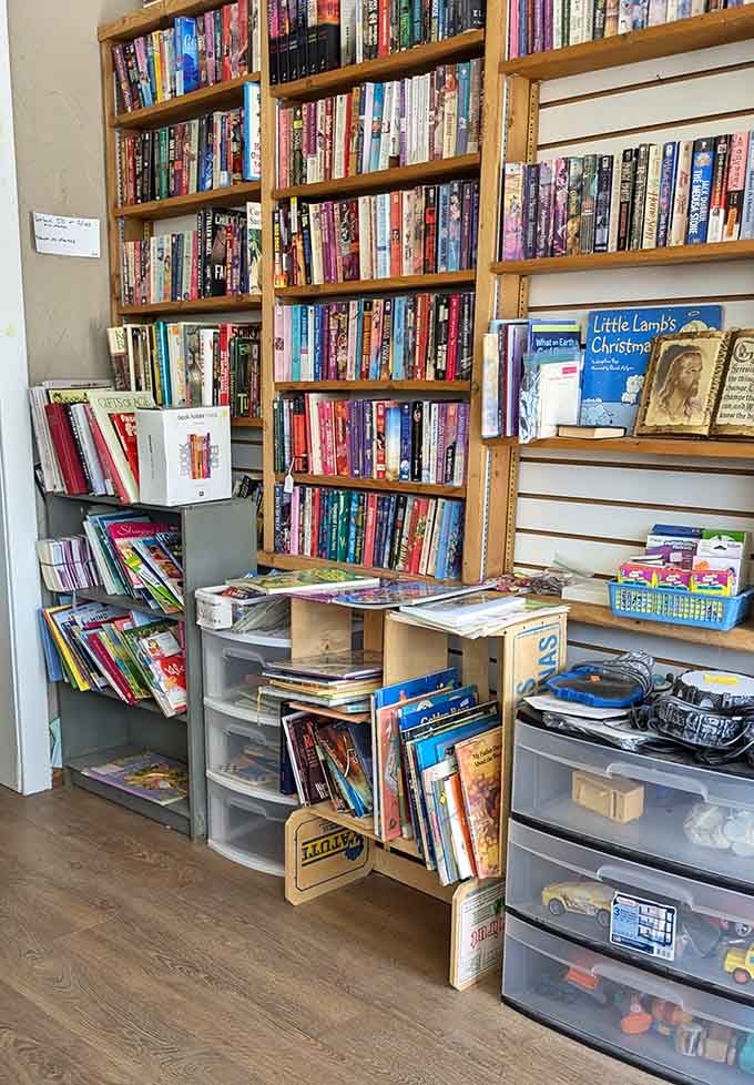 These book-filled shelves remind us that before streaming services, people actually had to store their entertainment on physical objects called pages.