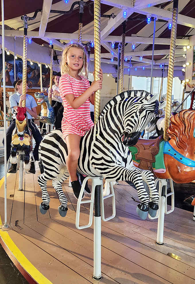 The magic of carousels bridges generations &ndash; today's riders experiencing the same joy their great-grandparents felt when these wooden steeds were brand new.