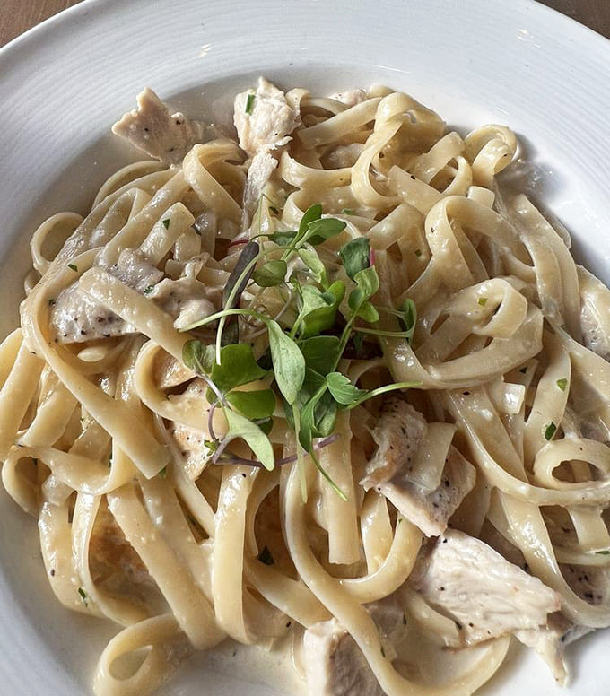 Fettuccine Alfredo with chicken shows that sometimes the classics become classics for very good reasons indeed.