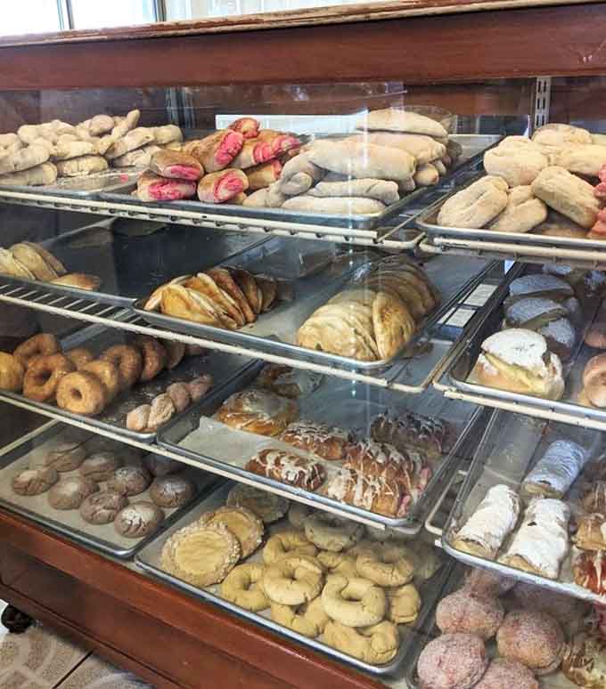 Mexican pastries in all their colorful glory, from conchas to empanadas, each one a small celebration of sugar and tradition.