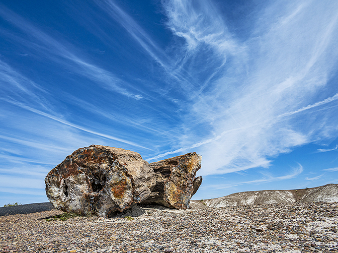 Nature's jewelry box on display. These petrified logs sparkle like gemstones, proof that patience really is a virtue.